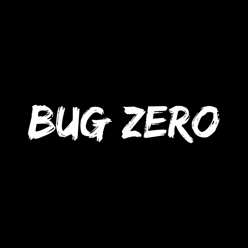 Bug Zero | Information Security Engineer (Remote - Internship)