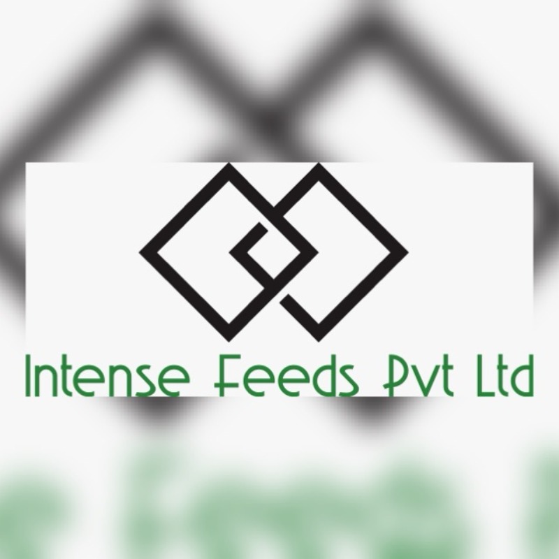 INTENSE FEEDS PVT LTD | Dispatching Supervisor