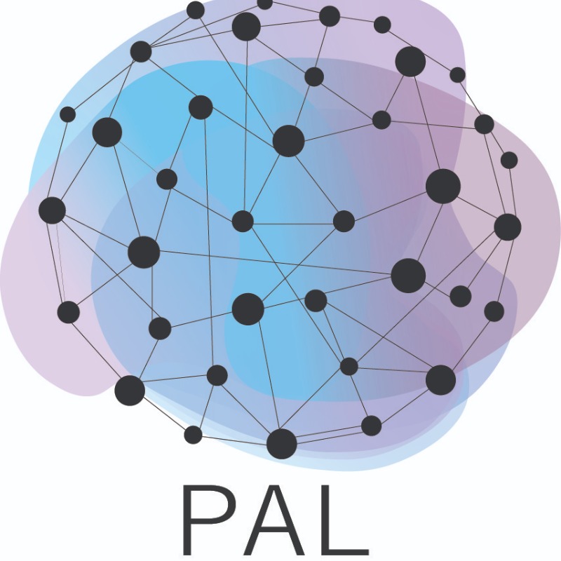 Pal Recruitment | МЛАДШИ МИНЕН ИНЖЕНЕР /за региона на гр. Пловдив/