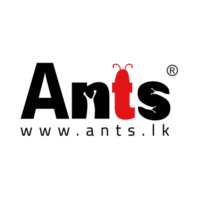 Ants Creation (Pvt) Ltd | Digital Marketing Executive