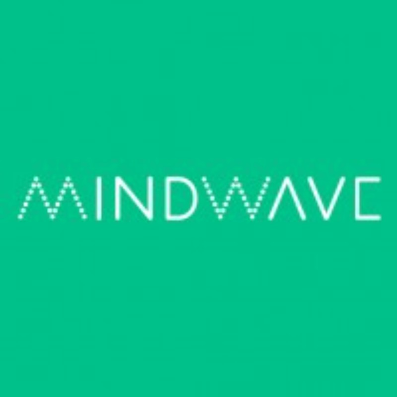 Careers at Mindwave Ventures